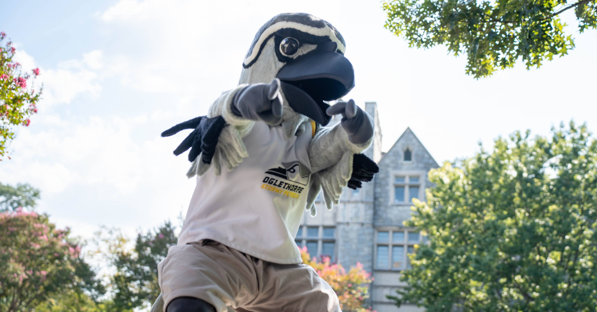 A Stormy Petrel connection